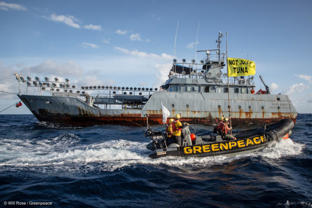 Thon tropical : la CTOI manque encore d’ambition - Greenpeace France
