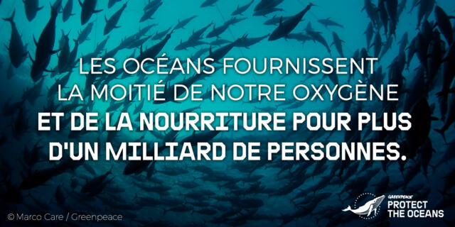 Protégeons nos océans - Greenpeace France