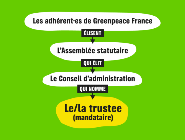 Comment fonctionne Greenpeace International ? - Greenpeace France