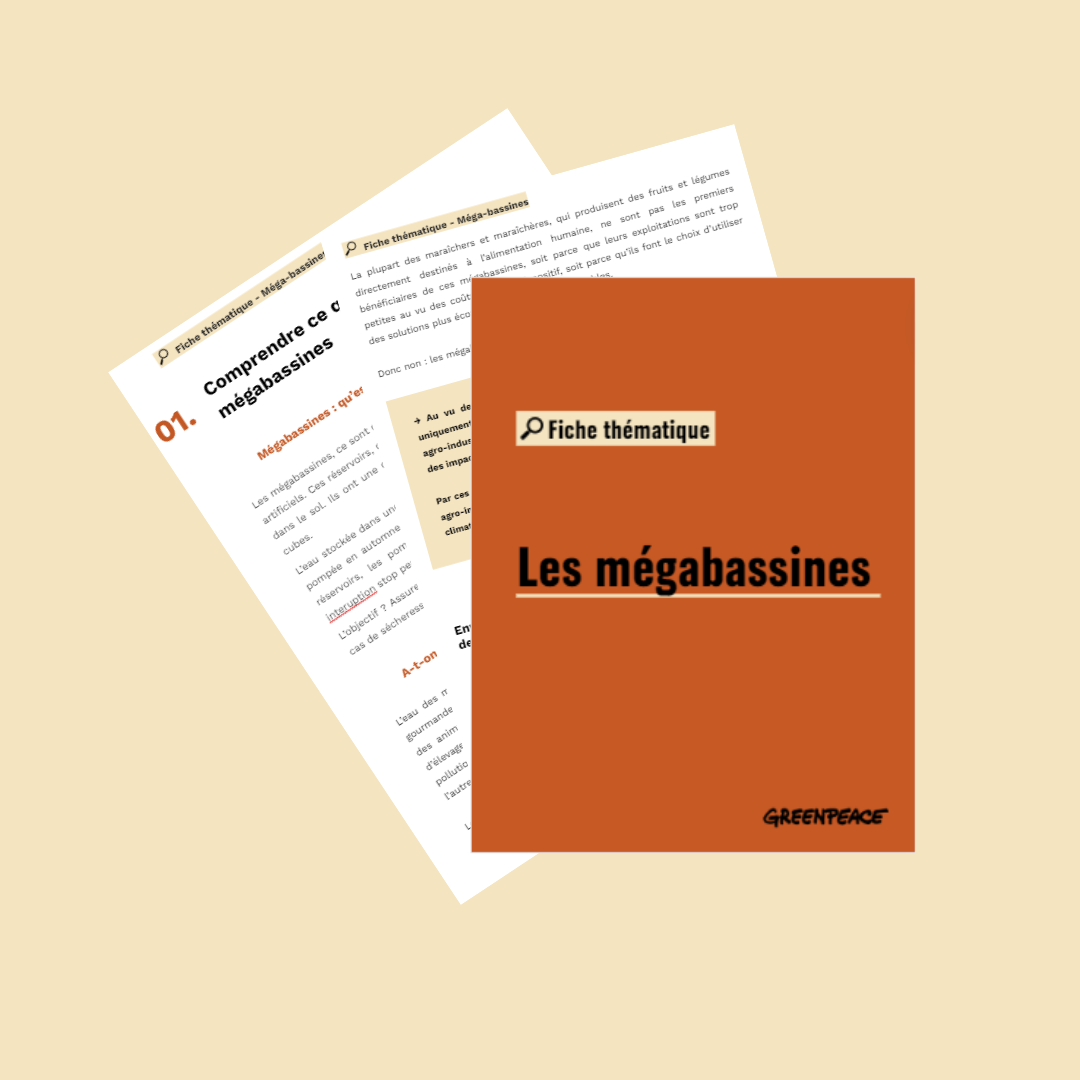Fiche thématique : Les mégabassines - Greenpeace France