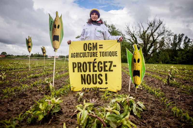 Non aux OGM masqués